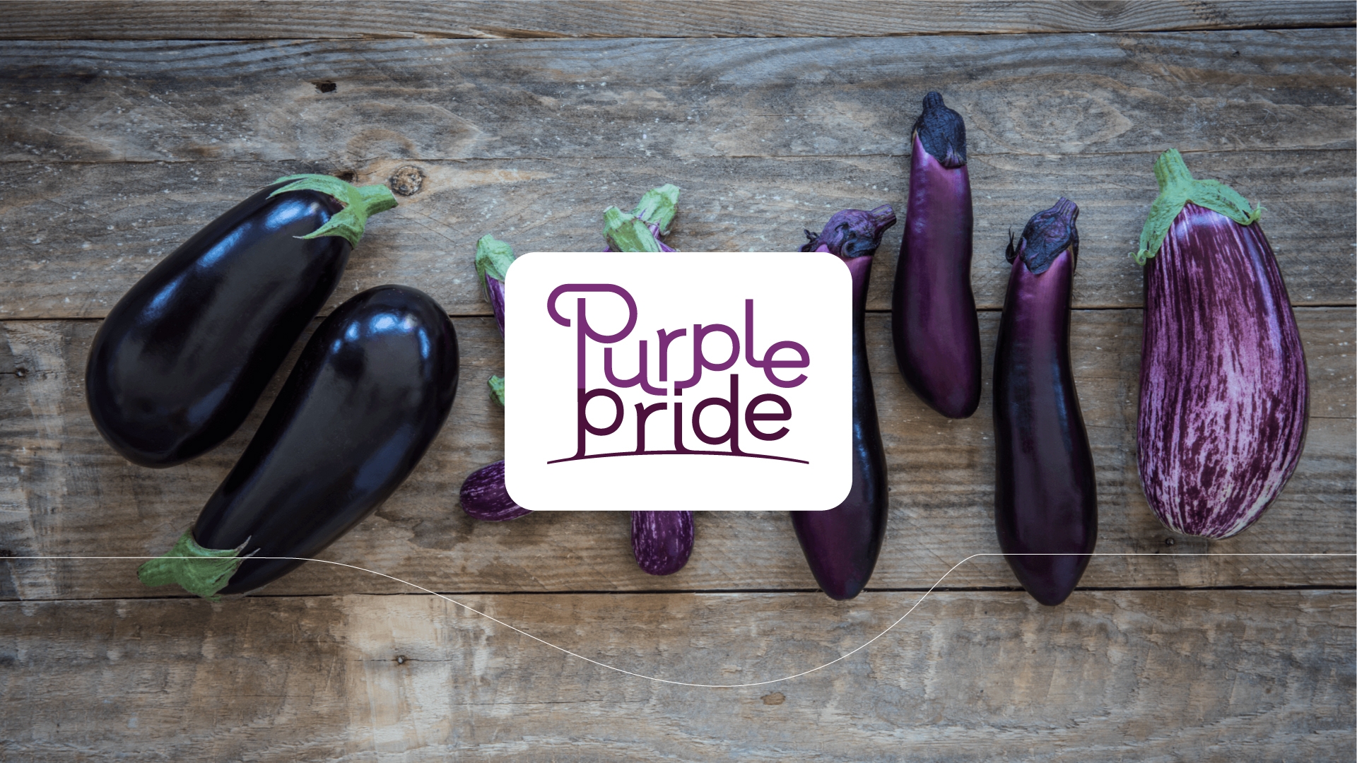 Home - Purple Pride